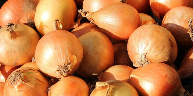 Yellow Onions – Iran Vegetable And Fruits