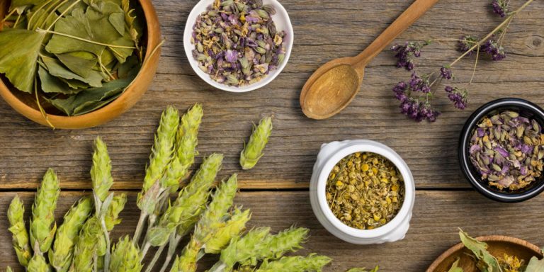 Herbs – Iran Vegetable And Fruits